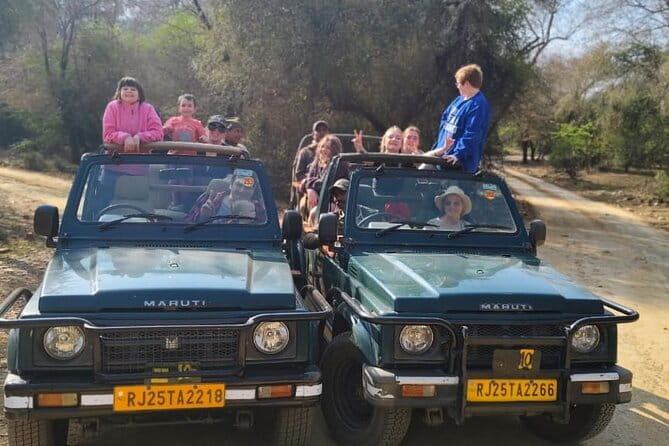 Private 4-Day Tiger Safari and Golden Triangle Tour from Delhi - Day 4: Jaipur’s Architectural Marvels