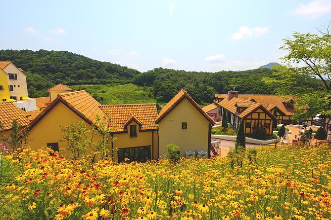 Private 4 days Nami Island&Petite France&Seoul&Everland tour - The Sum Up