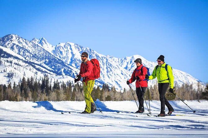 Private 4 Hour Beginner Cross Country Skiing in Grand Teton - Key Points