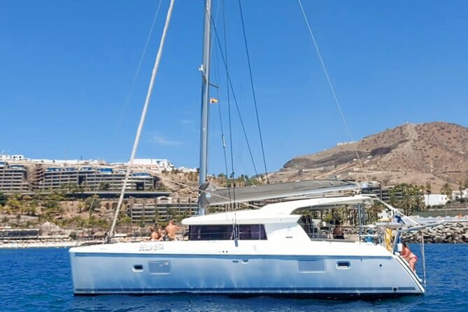Private 4 Hour Catamaran Cruise in South Coast of Gran Canaria - Cruise Experience and Activities