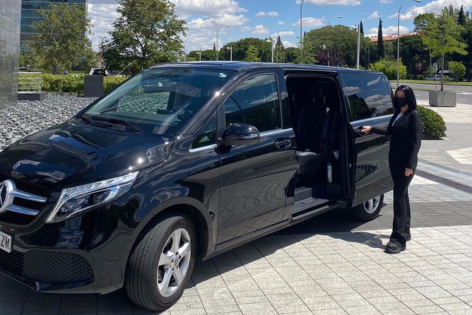 Private 4-hour City Tour of Bilbao with Hotel or Cruise Port pick-up - Ending the Tour