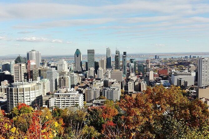 Private 4-hour City Tour of Montreal with driver and guide - Hotel pick up - Worth the Price? Analyzing the Value