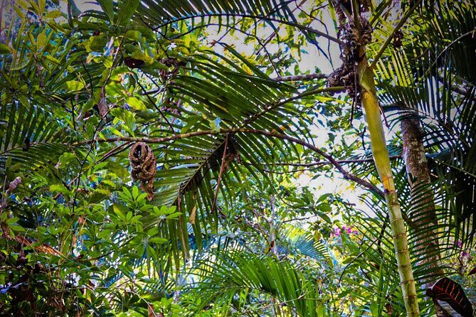 Private 4 hour Hiking Adventure + Breakfast in Nogalito Ecopark - Why Travelers Love This Tour