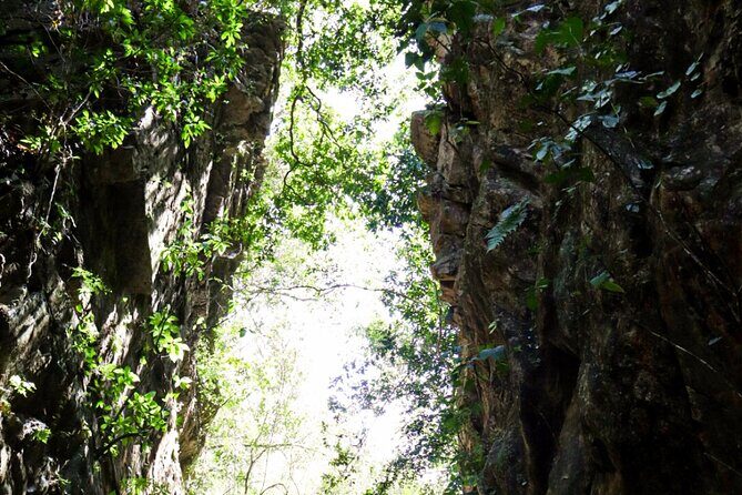 Private 4 hour Hiking Adventure + Breakfast in Nogalito Ecopark - Who Should Consider This Experience