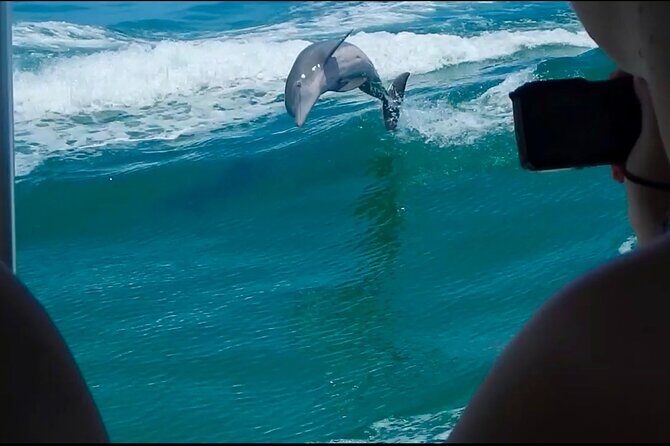 Private 4 Hour Shell Key Island Adventure Dolphins and Shells - Authentic Feedback from Travelers