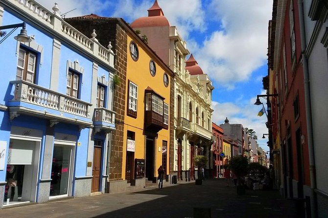 Private 4-hour Tour to La Laguna from Tenerife from Hotel or Port pick-up - Potential Drawbacks to Consider