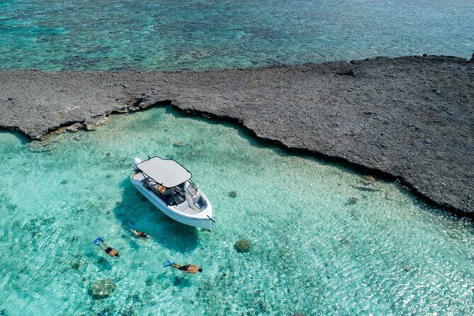 Private 4 Hours Reef Discovery Luxury Private Treasure Hunt in Bora Bora - Introduction: A Unique Lagoon Adventure for Families and Curious Travelers