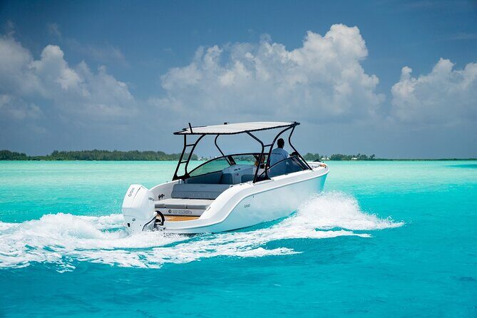 Private 4 Hours Reef Discovery Luxury Private Treasure Hunt in Bora Bora - Who Should Consider This Tour