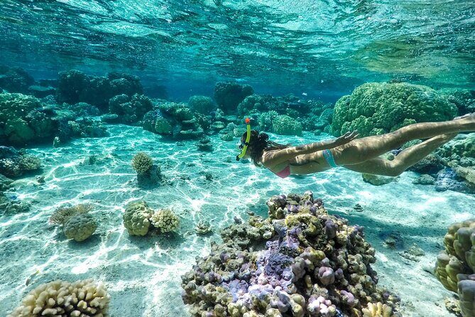 Private 4 Hours Reef Discovery Luxury Private Treasure Hunt in Bora Bora - The Sum Up: A Family-Friendly, Authentic Lagoon Adventure