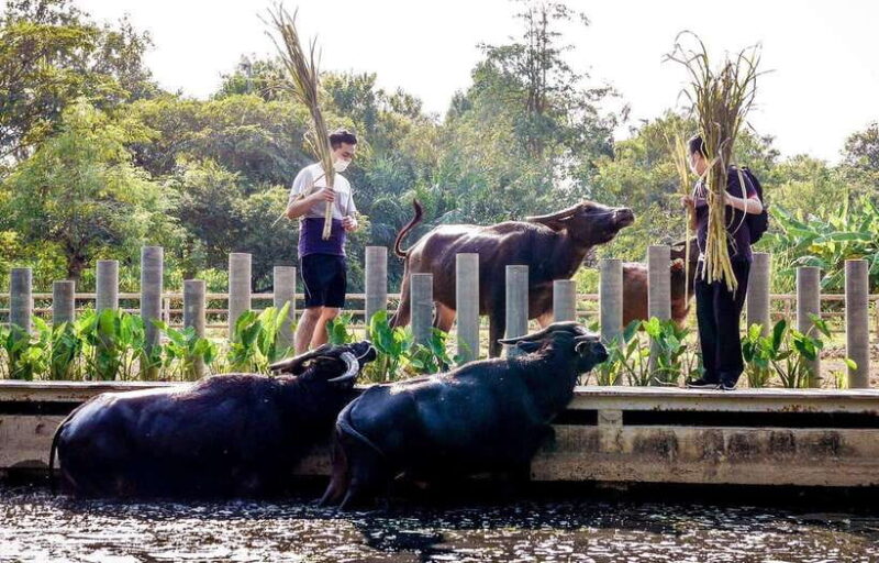 Private 4 IG Café Tour in Nakhon Pathom from Bangkok - The Value of This Tour