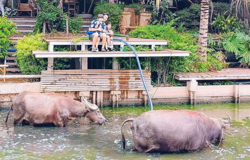 Private 4 IG Café Tour in Nakhon Pathom from Bangkok - Who Is This Tour Best For?