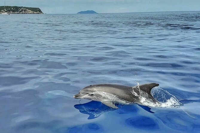 Private 4 Islands Tour (Golden Horn, Hvar, Pakleni Islands, ŠOlta) - Participant Information