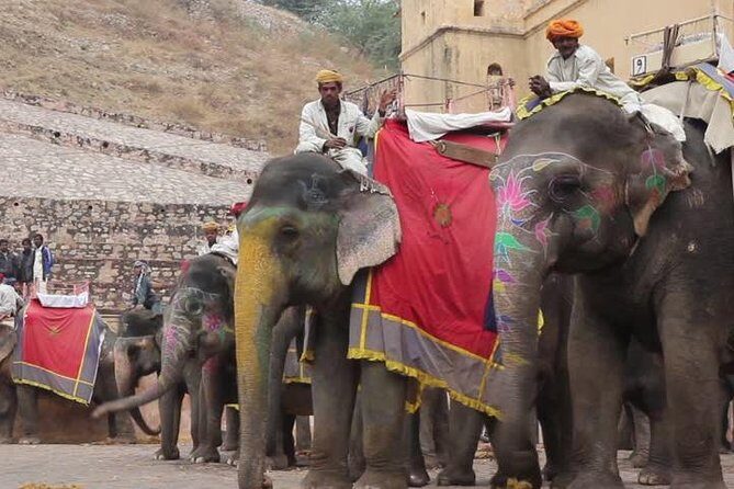 Private 4 Nights 5 Days Golden Triangle Tour (DELHI-AGRA-JAIPUR-DELHI) - Day 1: Arrival in Delhi