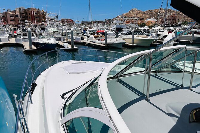 Private 42-foot luxury yacht tour in Los Cabos - Practical Details and Considerations