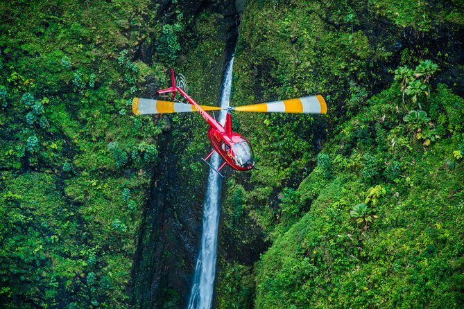 Private 45 Minute Helicopter Tour with Romantic Landing - Who Will Love This Tour?
