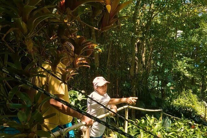 Private 4WD Tour to Trunk Bay St John - The Itinerary in Detail