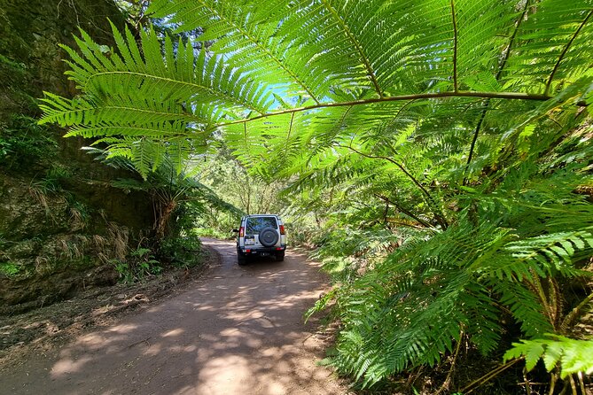 Private 4x4 Jeep Full Day Porto Moniz or Santana - Jeep Capabilities