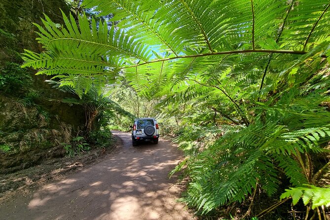 Private 4x4 Jeep Half Day - Picturesque Peaks, Vineyards, Skywalk - Booking and Cancellation Policies