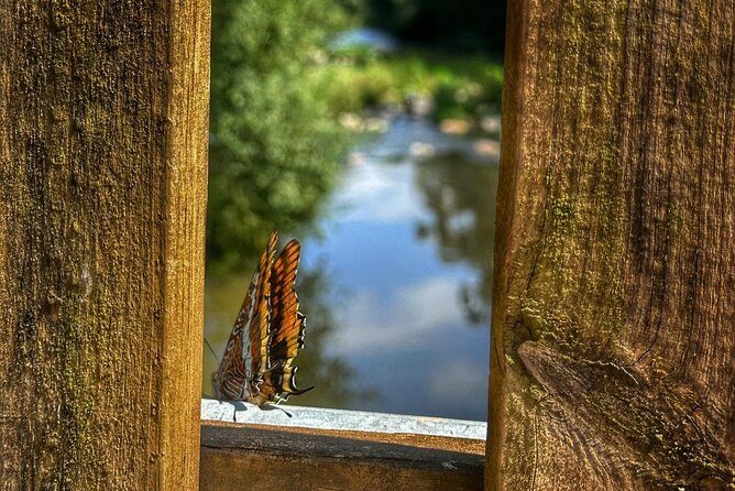 Private 4x4 Mountain Tour - Capturing Unforgettable Moments