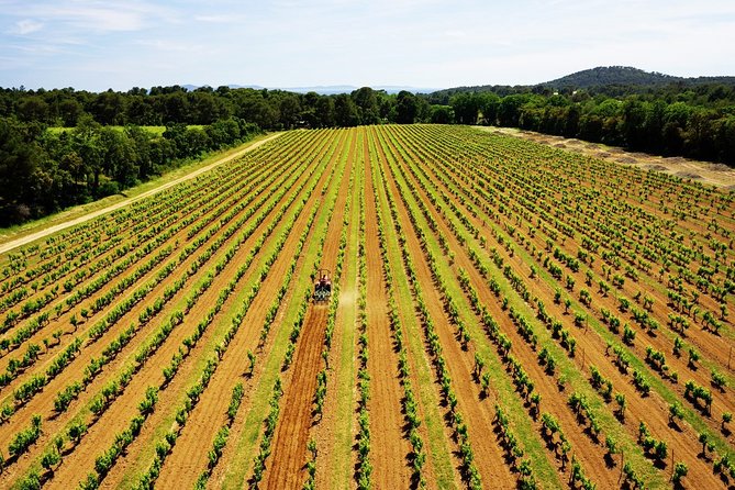 Private 4x4 Ride in a Wine Estate Followed by a Tasting - The Exceptional Wine Tasting