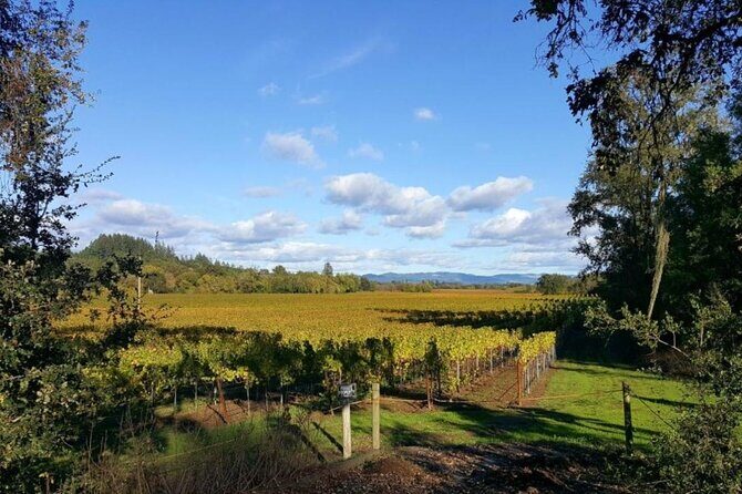Private 5 day California Vineyards, Waves and Wine Tour - A Complete Look at the Itinerary