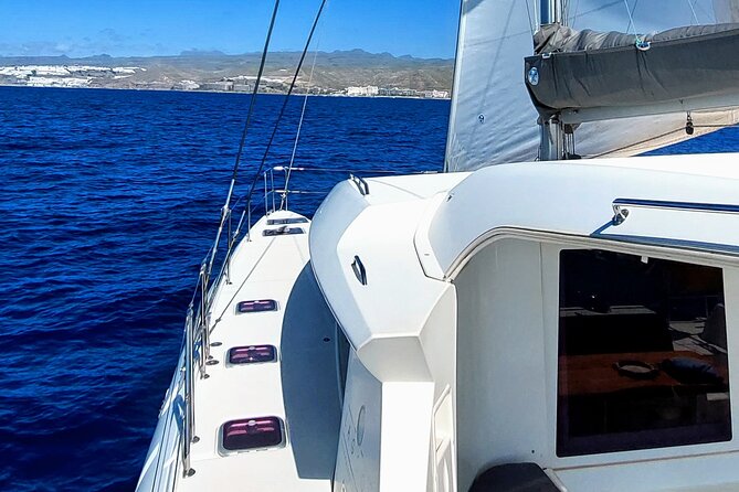 Private 5 Hour Catamaran Cruise in South of Gran Canaria - Highlights of the Cruise: Activities and Sightings