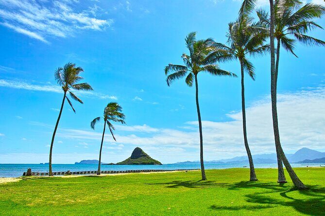 Private 5-Hour Driving Tour of Oahus Highlights - Key Points