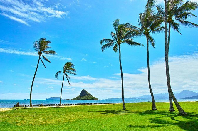 Private 5-Hour Driving Tour of Oahus Highlights - In-Depth Look at the Tour Experience