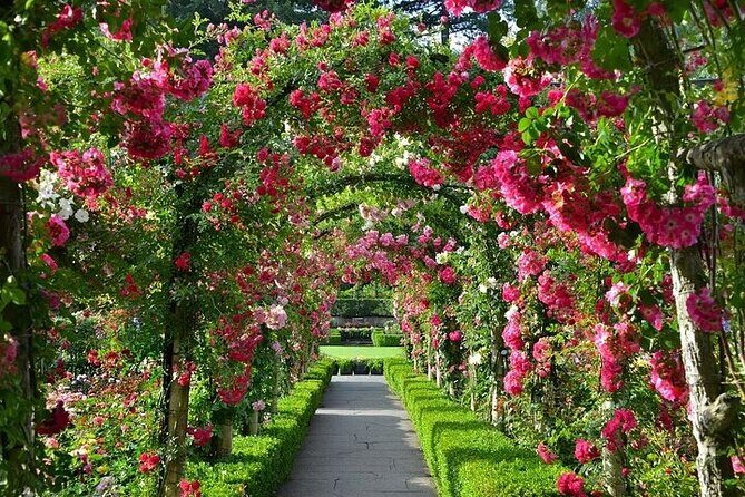 Private 5 Hour Tour of Butchart and Butterfly Gardens - The Sum Up