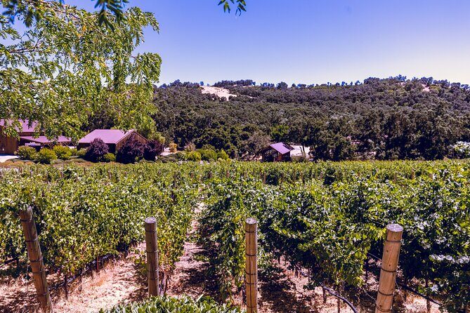 Private 5-Hour Transportation from Paso Robles or Atascadero - Authentic Experiences and Tips