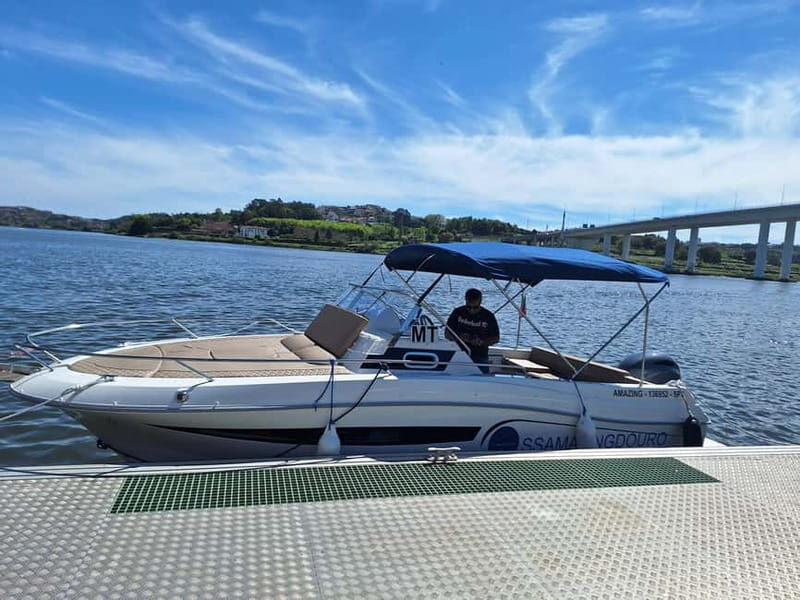 Private 6 Bridges Cruise in Porto with Optional Sunset - An In-Depth Look at the Experience