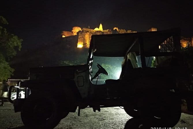 Private 6 Days Stepwell Tour in Rajasthan with Ranthambore Wildlife Safari - Who Should Consider This Tour?