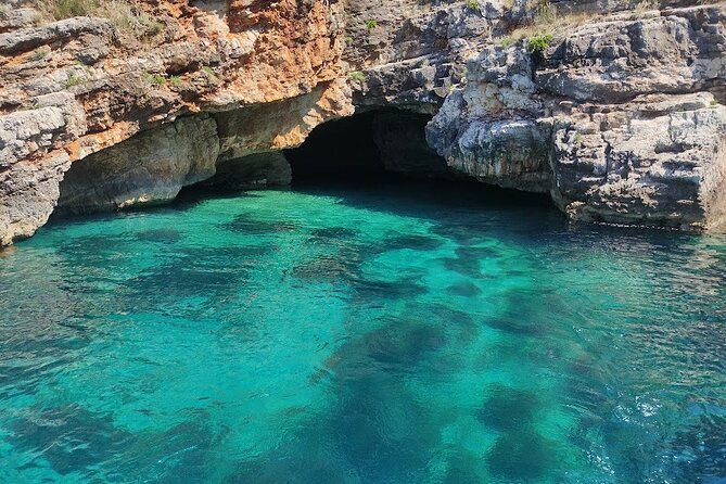 Private 6 H Boat Dafina Bay & Bear's Bay - Authentic Experiences and Reviews