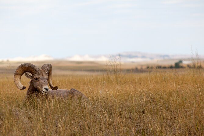 Private 6 Hours Badlands National Park E-Bike Activity - What to Expect From the Experience