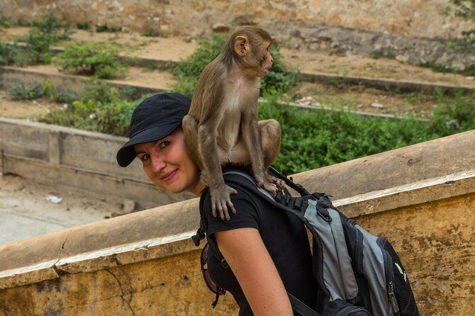 Private 6 Hours: Jaipur Temples Tour - Who Should Consider This Tour?