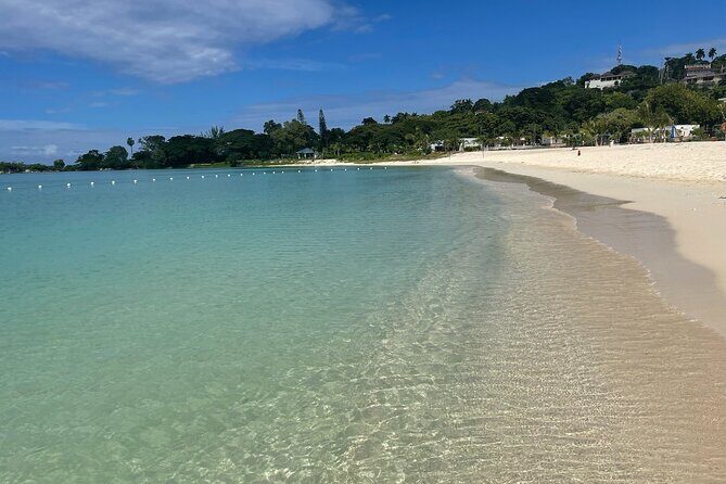 Private 7 Miles Negril Beach and Ricks Cafe tour - The Tour Experience: A Deep Dive