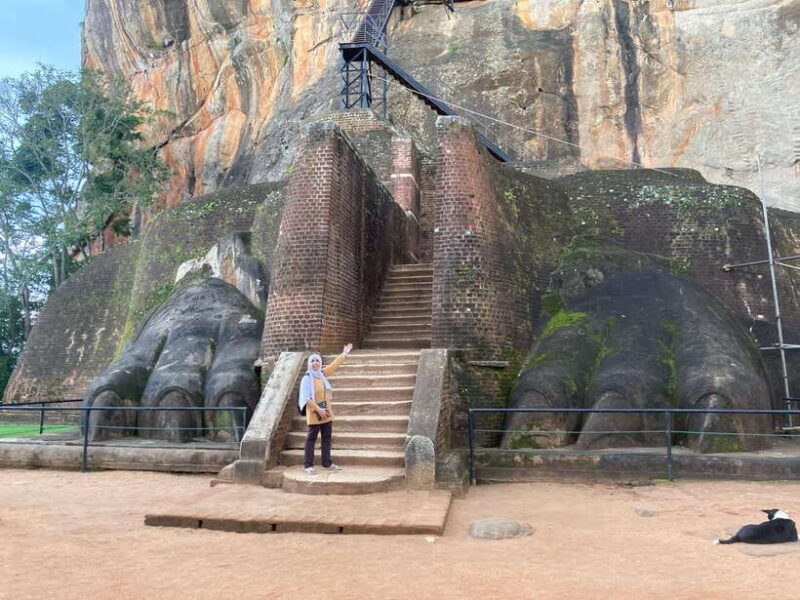 Private 8 Day Sri Lanka Cultural Heritage Tour with Guide - Wildlife and Coastal Comforts