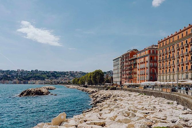 Private 8-hour Excursion of Naples and Pompeii from Naples Cruise Port or Hotel - Key Points