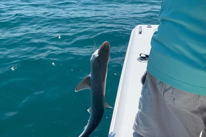 Private 8 hour Fishing Activity with Master Captain Bill - Setting the Scene: What Makes This Tour Stand Out?