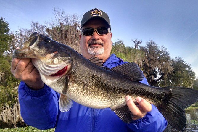 Private 8-hour Lake Toho Fishing Charter Near Kissimmee - Why Choose This Lake Toho Fishing Charter?