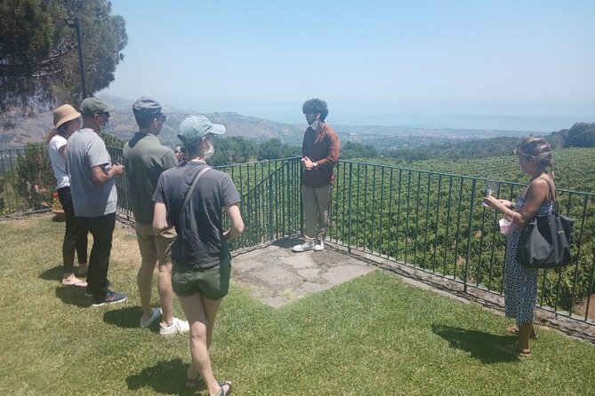 Private 8-Hour Tour of Four Etna Wineries with Tasting - FAQ