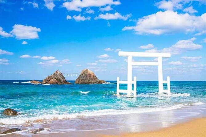 Private 9 persons Chartered Bus in Fukuoka - A Close Look at the Fukuoka Private Bus Tour