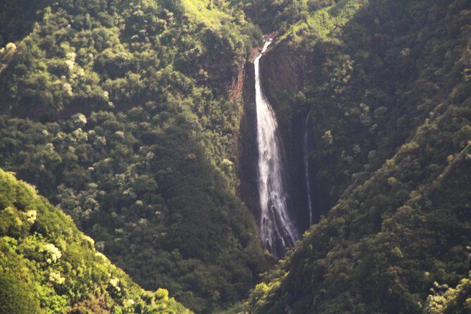 Private 90-Minute Kauai and Forbidden Island Airplane Tour - The Value of the Tour