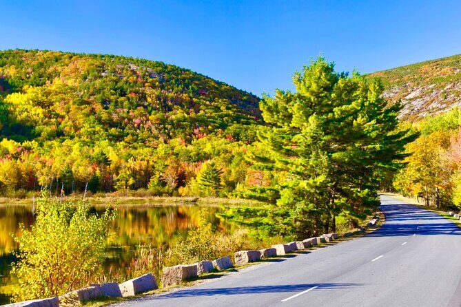 Private Acadia & Mount Desert Island Tour (full day, six hours) - An Overview of the Full-Day Acadia & Mount Desert Island Tour