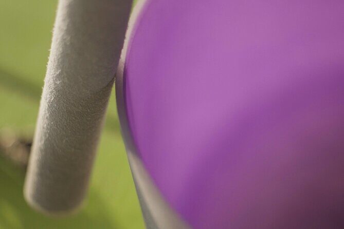 Private Activity Sound Trip in La Condesa - What Is the Sound Trip in La Condesa?