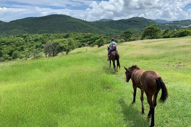 Private Advanced Horseback Beach Ride with Sandy Hoofs St. Lucia - Key Points