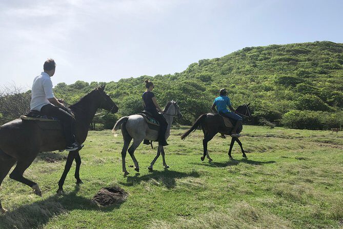 Private Advanced Horseback Beach Ride with Sandy Hoofs St. Lucia - An In-Depth Look at the Experience