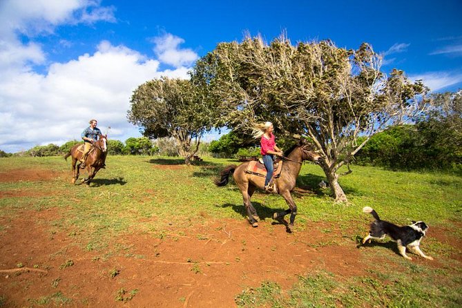 Private Advanced Trail Ride - The Itinerary in Detail