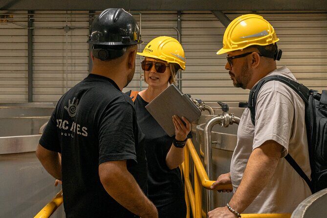 Private Adventure Day Tour to Tequila and Cazcanes Distillery - Who Would Love This Tour?