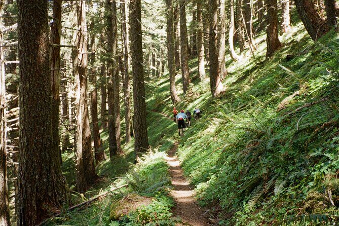 Private Adventure Mountain Biking in Seattle's Eastside - Who Should Book This Tour?